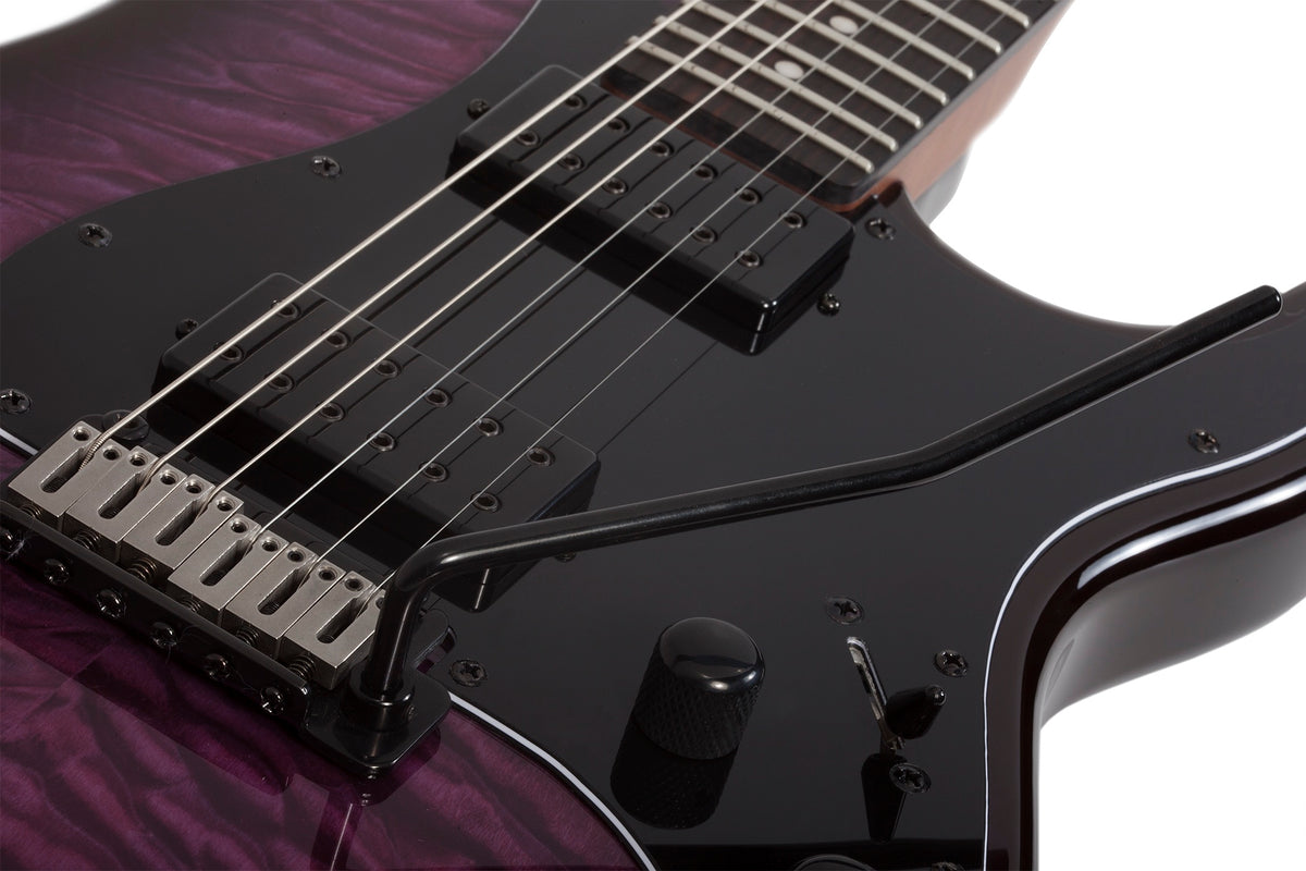 Schecter / Traditional Pro – Asia Music (2518) Co.,Ltd